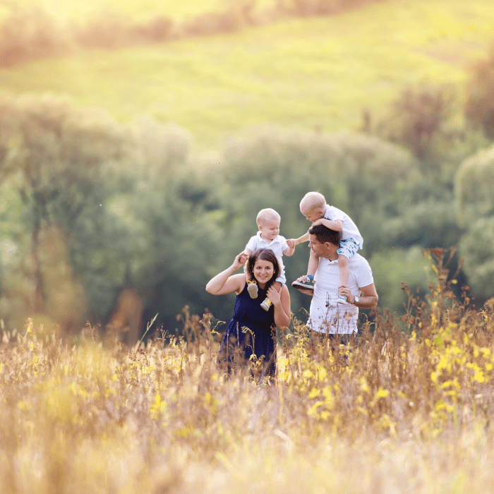 What Is HEMS and Why Is It Included in So Many Trusts?